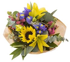 Wholesale Florist | Koehler & Dramm