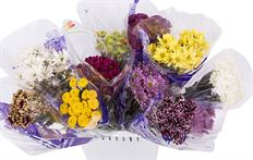 Weekly Specials | Koehler & Dramm