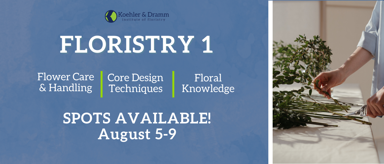 Wholesale Florist | Koehler & Dramm