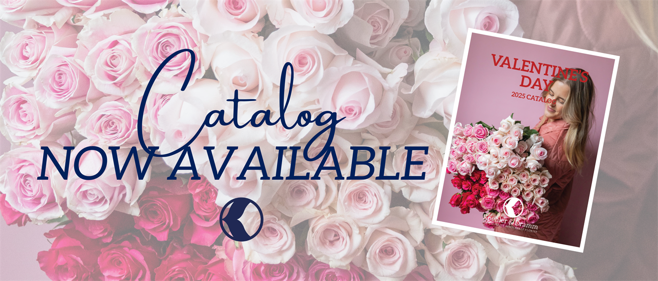 Wholesale Florist | Koehler & Dramm